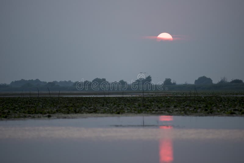 Breathtaking Sunset in Danube Delta, Romania, in a Summer Day Stock ...