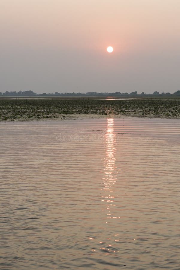 Breathtaking Sunset in Danube Delta, Romania, in a Summer Day Stock ...