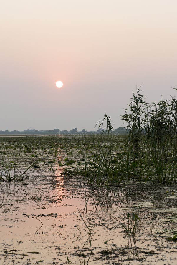 Breathtaking Sunset in Danube Delta, Romania, in a Summer Day Stock ...
