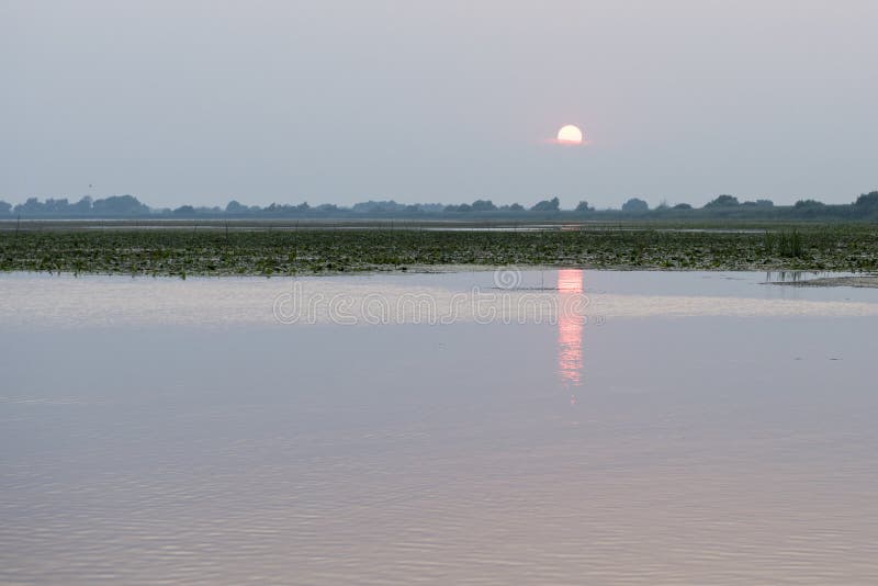 Breathtaking Sunset in Danube Delta, Romania, in a Summer Day Stock ...