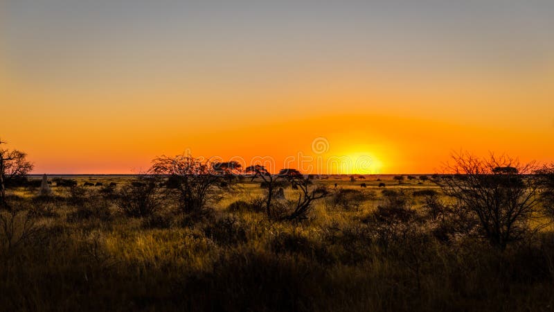 A Breathtaking Sunset, Onguma Game Reserve, Namibia. Stock Image ...