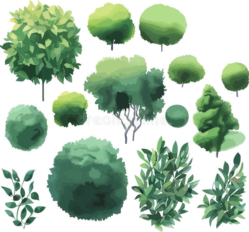 Breathtaking Trees Bushes Shrubs Top View Vector Stock Vector ...
