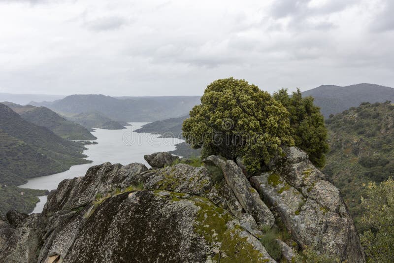 Breathtaking Valley with River Surrounded by Greenery Stock Image ...
