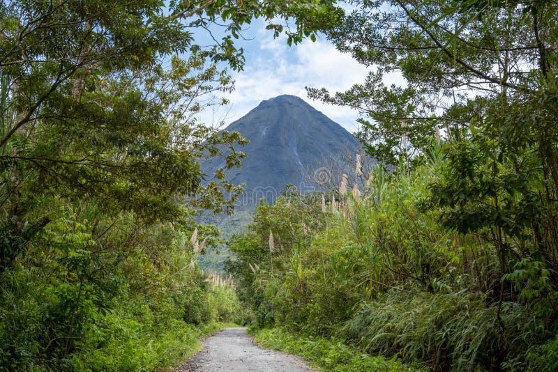 Breathtaking View of a Giant Mountain and a Pathway Covered in Trees ...