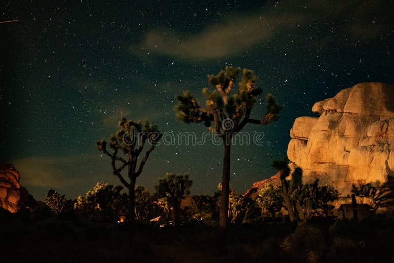 Breathtaking View of the Milky Way Galaxy at the Joshua Tree National ...