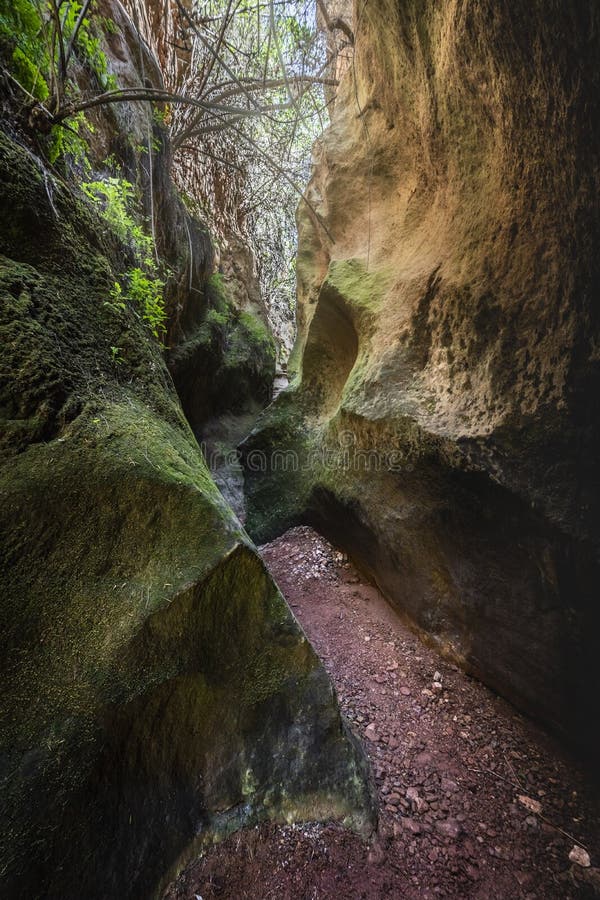 Breathtaking View of the Narrow Path between the Enormous Rocks Stock ...