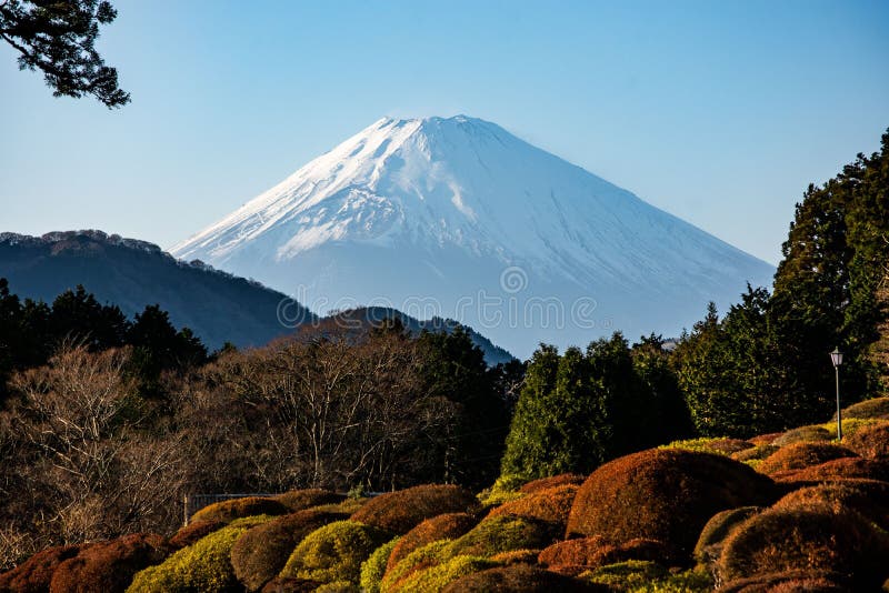 Breathtaking View of the Snowy Mount Fuji Behind the Autumn Forest ...