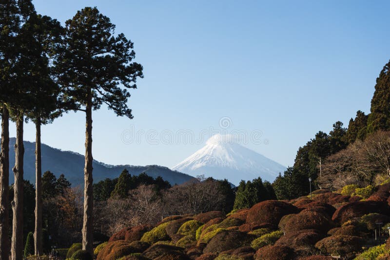 Breathtaking View of the Snowy Mount Fuji Behind the Autumn Forest ...