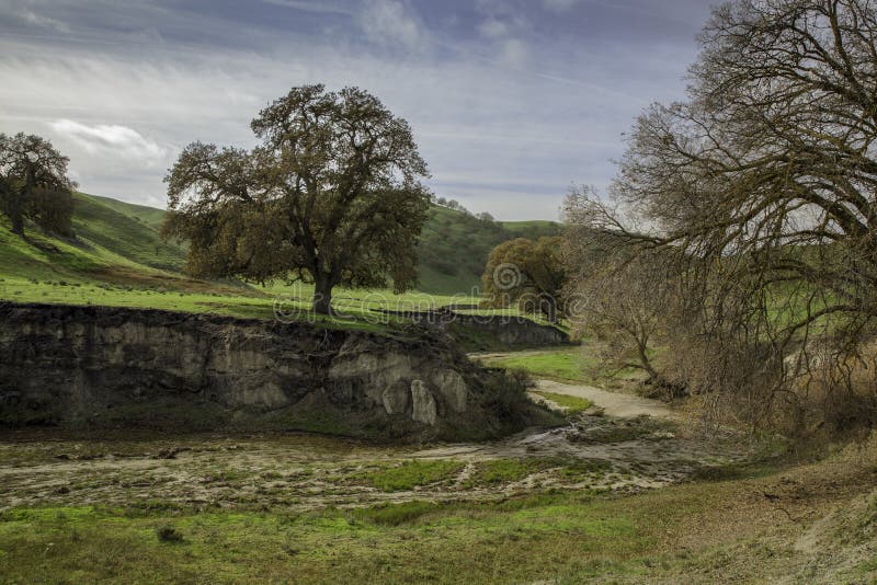 Breathtaking View of the Trees on the Grass Covered Hills Under the ...