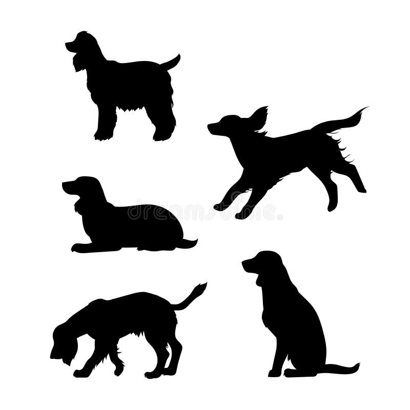 Breed of a Dog Cocker Spaniel Vector Silhouettes Stock Vector ...