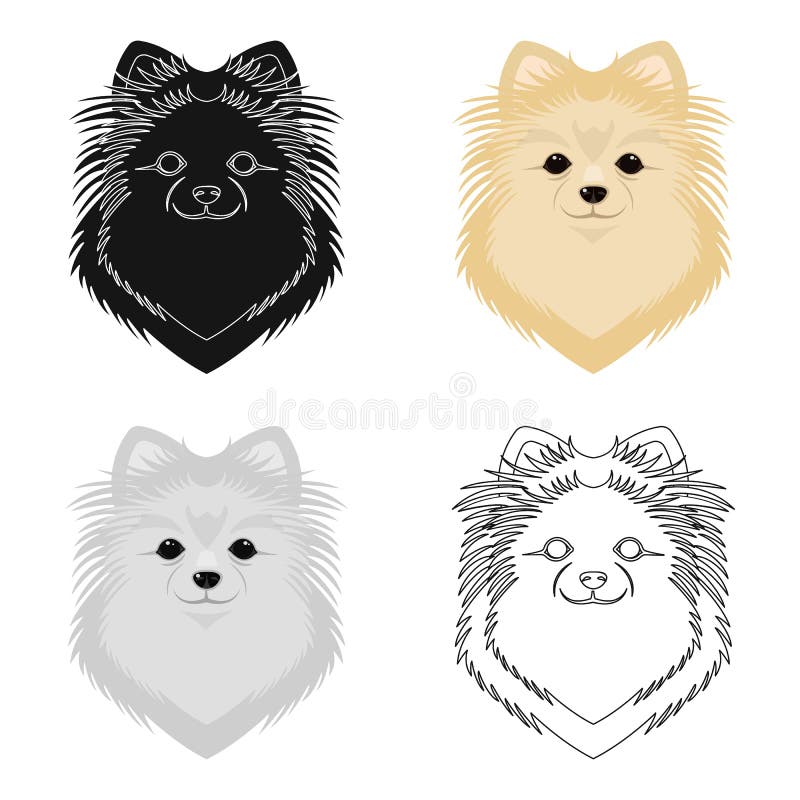 Spitz Single Icon in Cartoon Style.Spitz Vector Symbol Stock ...