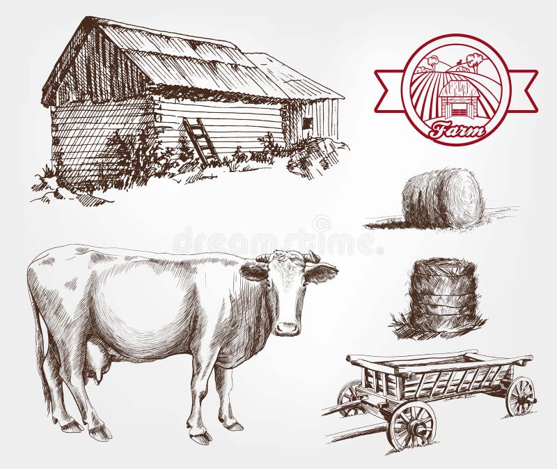 Breeding cows stock vector. Illustration of agricultural - 58734630