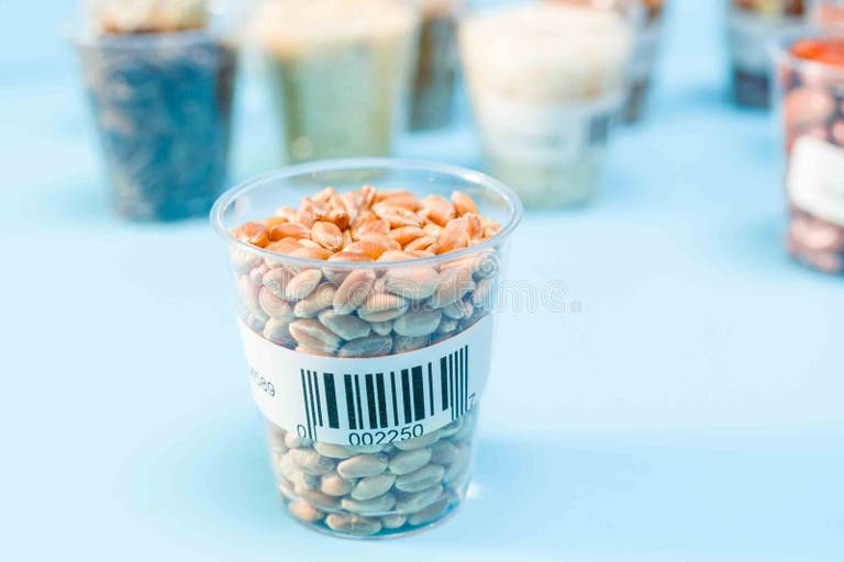 Breeding for Improved Water Use Efficiency: Creating Crops that Require ...