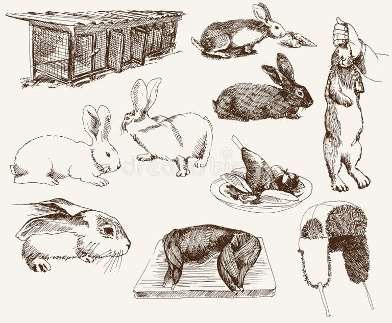 Breeding rabbits stock vector. Illustration of doodle - 28321828