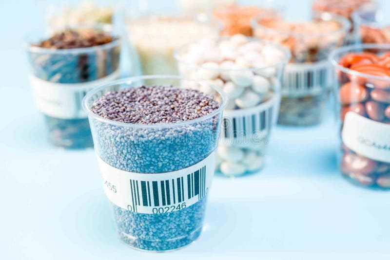 Breeding for Shelf-Life Extension: Developing Crops with Extended Post ...