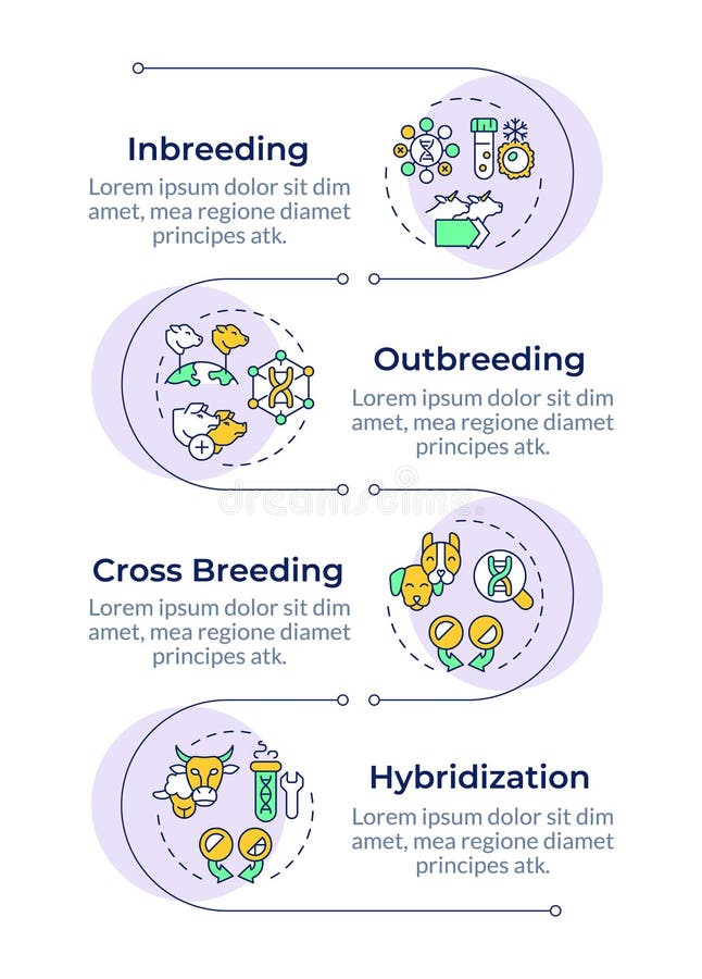 Breeding Techniques Infographic Vertical Sequence Stock Vector ...