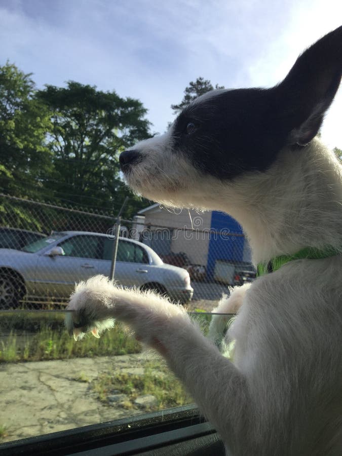 Breeze editorial stock photo. Image of enjoying, seat - 70756593
