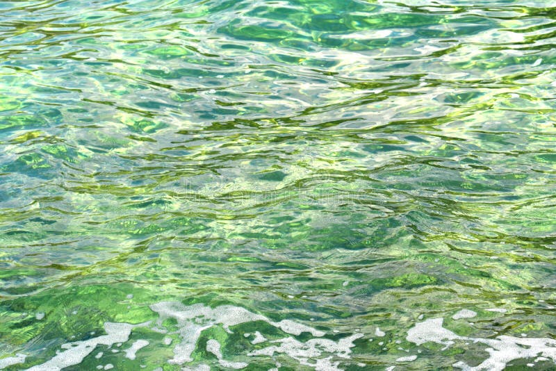 Breeze on the Sunlight Green Sea Surface Stock Image - Image of lake ...