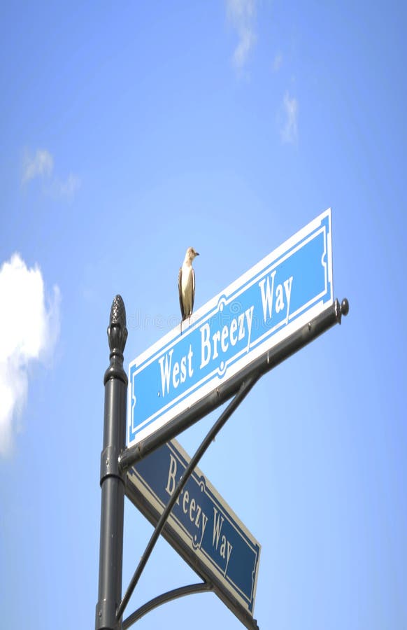 Breezy Way stock photo. Image of shadow, walk, wood, reflection - 42031380