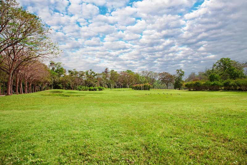 Breiter Rasen im Park stockfoto. Bild von nave, draussen - 69548830