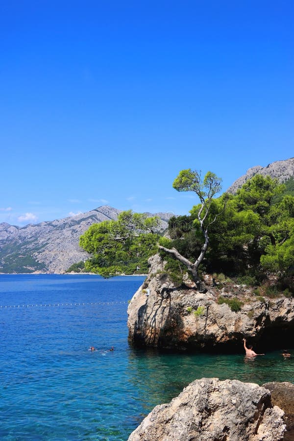 Brela Stone, Croatia stock photo. Image of tree, outside - 290718308