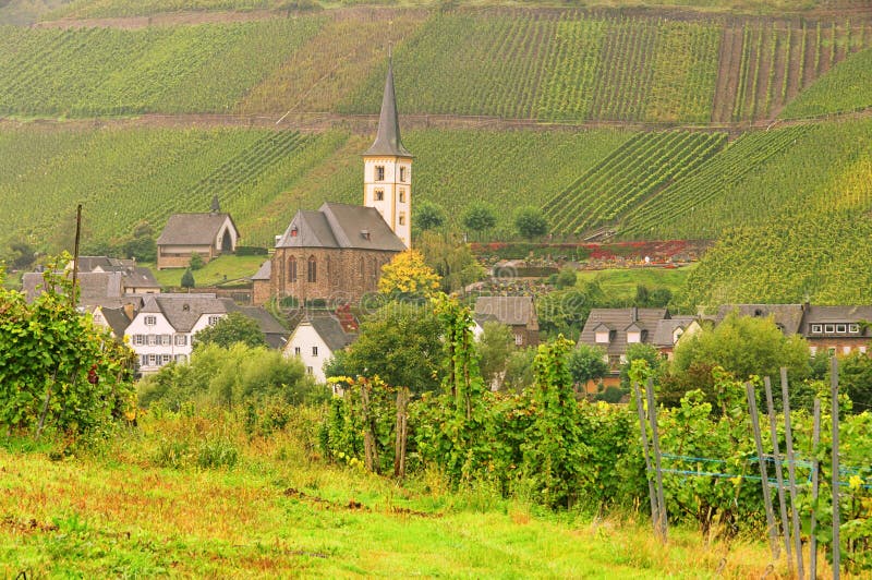 Bremm church stock photo. Image of vineyard, autumn, germany - 29130352
