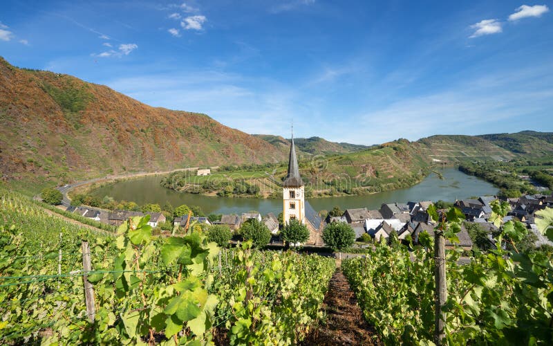Bremm with Loop of Moselle River, Germany Stock Photo - Image of famous ...