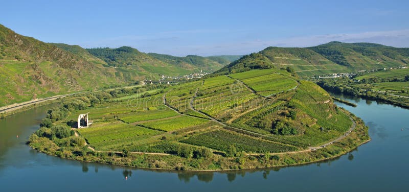 Bremm, Mosel-Fluss-Schlaufe, Deutschland Stockbild - Bild von weinberg ...