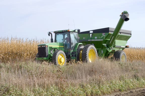 Breng in het graan stock foto. Image of hemel, najaar - 1456726