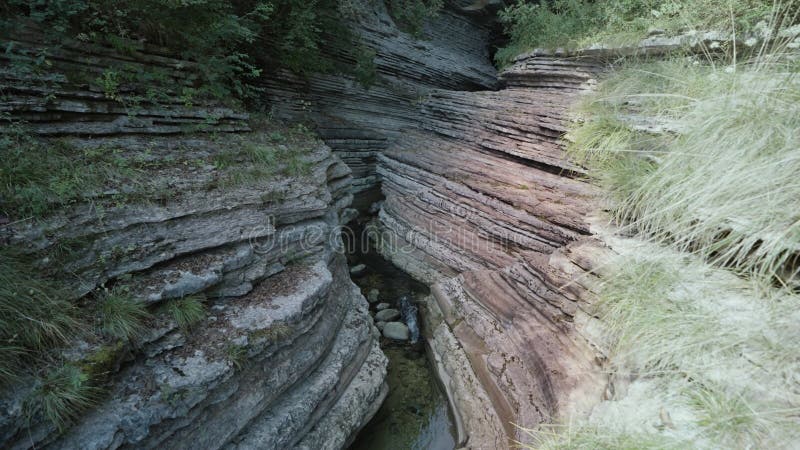 Brent de Art in the summer stock footage. Video of belluno - 293851004