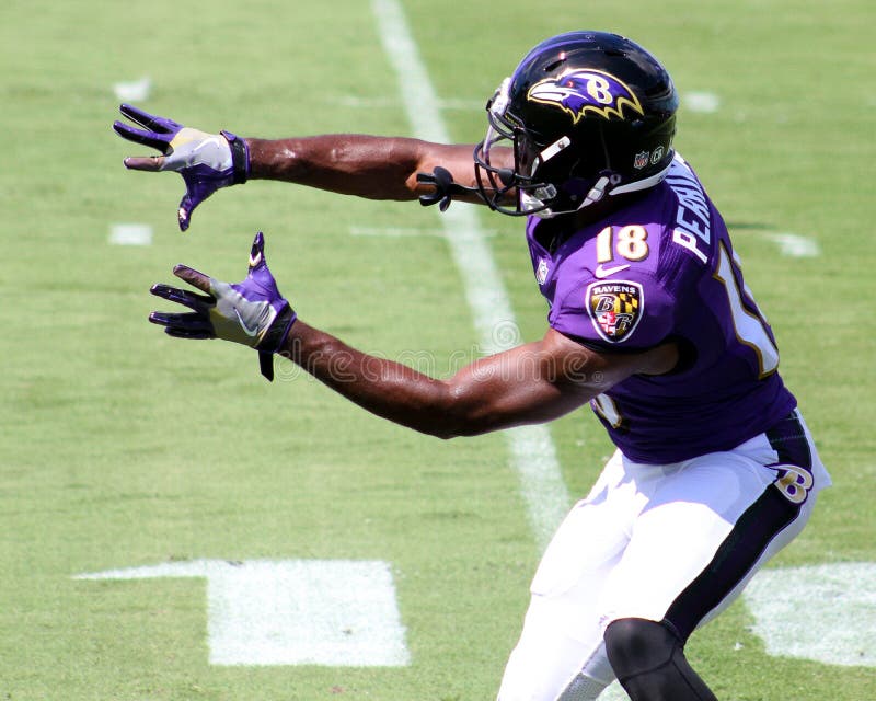Ravens Breshad Stock Photos - Free & Royalty-Free Stock Photos from ...
