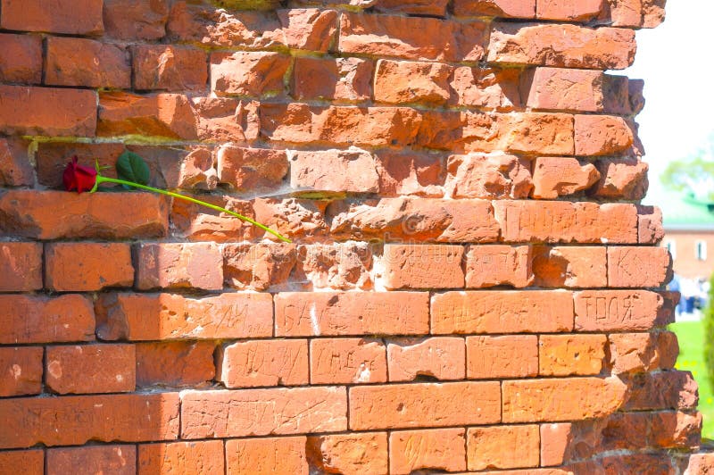 113 Soviet Invasion Belarus Stock Photos - Free & Royalty-Free Stock ...