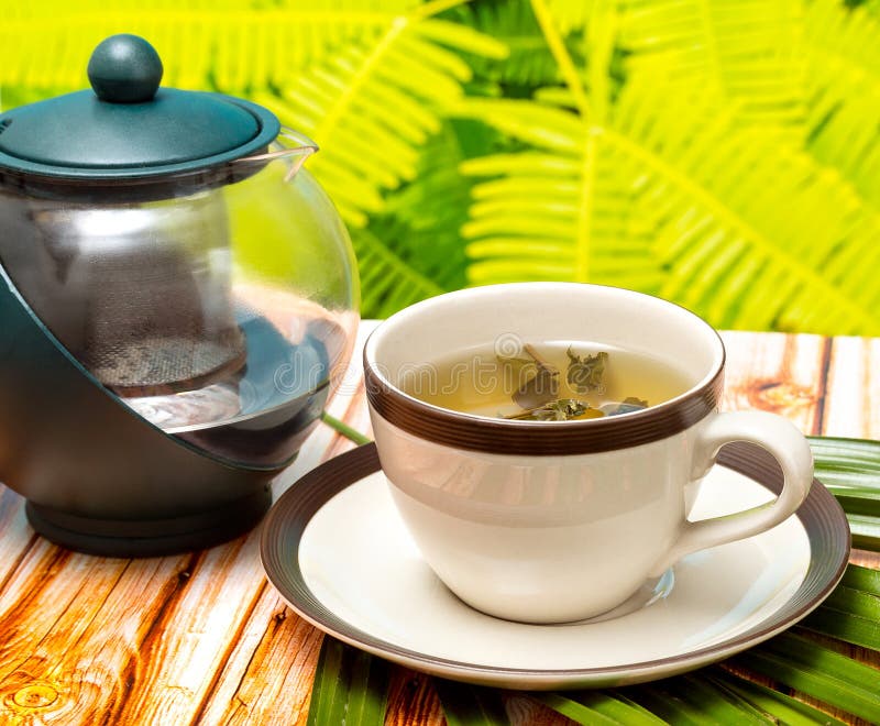 Brewed Green Tea Represents Refreshments Refreshment and Teas Stock ...