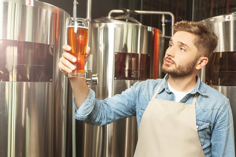 Brewer Checking Quality of Beer Stock Photo - Image of brewery ...
