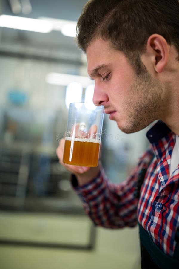 Focused Brewer Smelling Beaker Beer Stock Photos - Free & Royalty-Free ...
