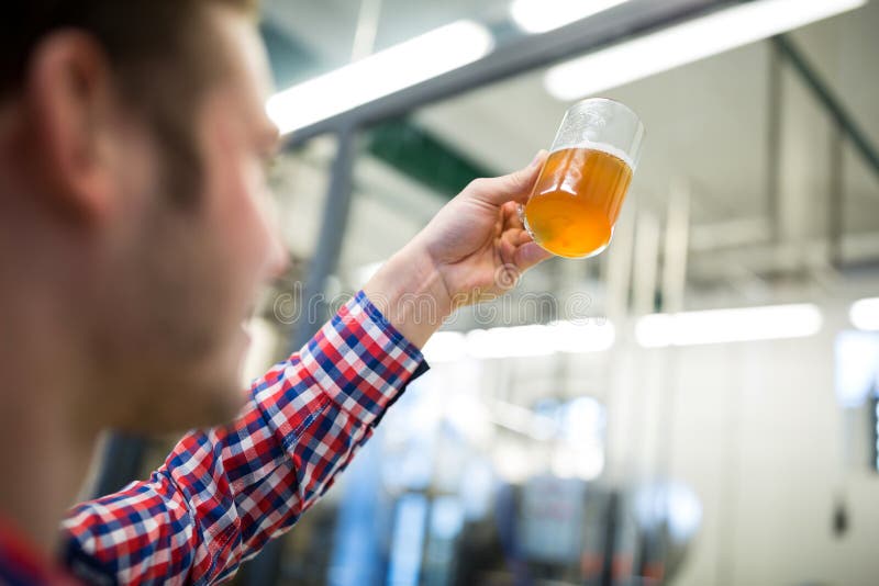 Brewer testing beer stock image. Image of distillery - 77694539