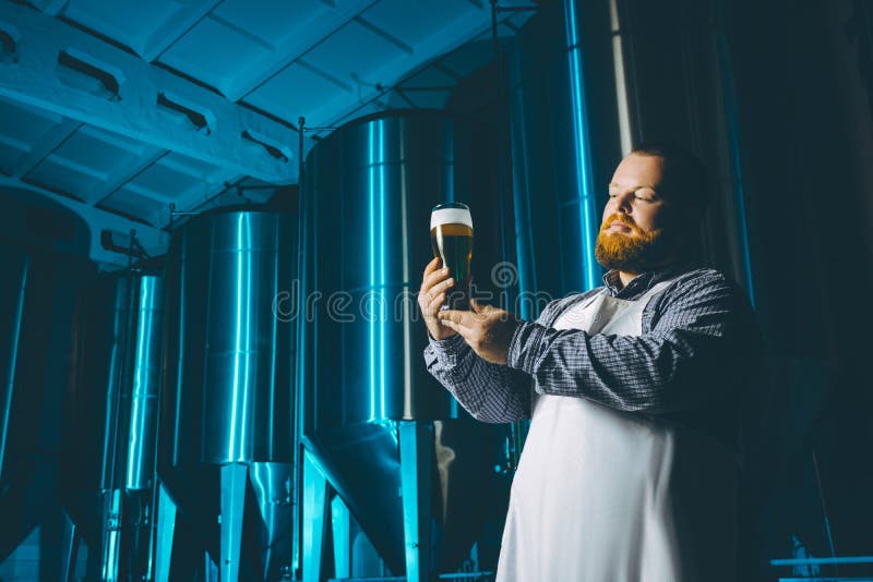 Brewery Brewer Beer Factory Stock Photo - Image of cistern, industrial ...