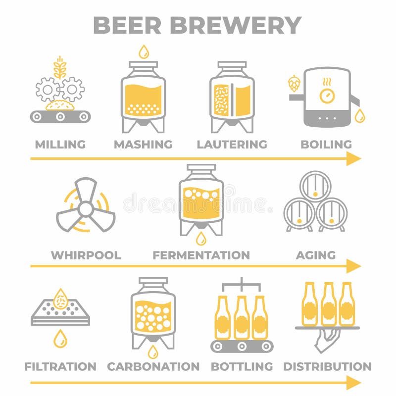 Beer brewing process. stock vector. Illustration of drawing - 258431261