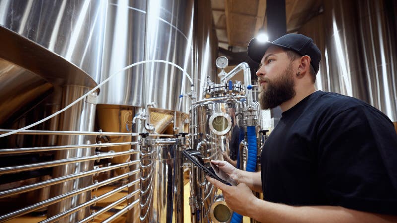 Brewery Technologist, Focused Man Checking Fermentation Process ...