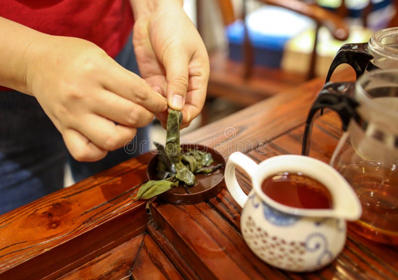 Brewing Chinese Tea from the Tea Leaves Stock Photo - Image of ...