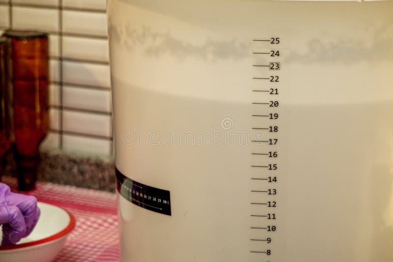 Brewing Home Beer Process at Home in the Kitchen Stock Photo - Image of ...