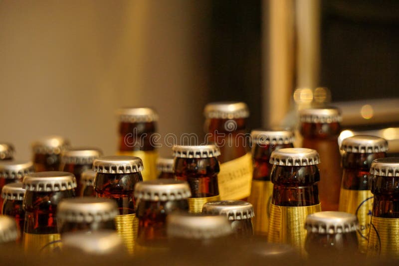 Brewing Home Beer Process at Home in the Kitchen Stock Photo - Image of ...