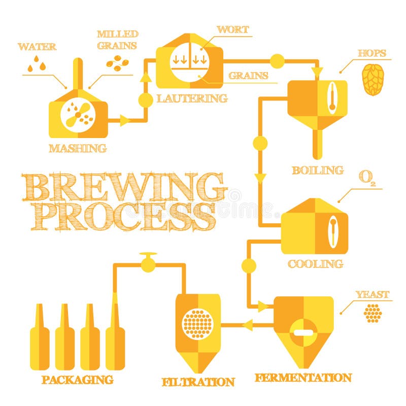 Beer Brewing Process Infographic. Flat Style Stock Vector ...