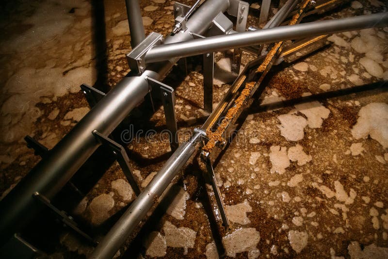 Brewing Process. Fermentation and Filtration of Beer Inside the Vat ...