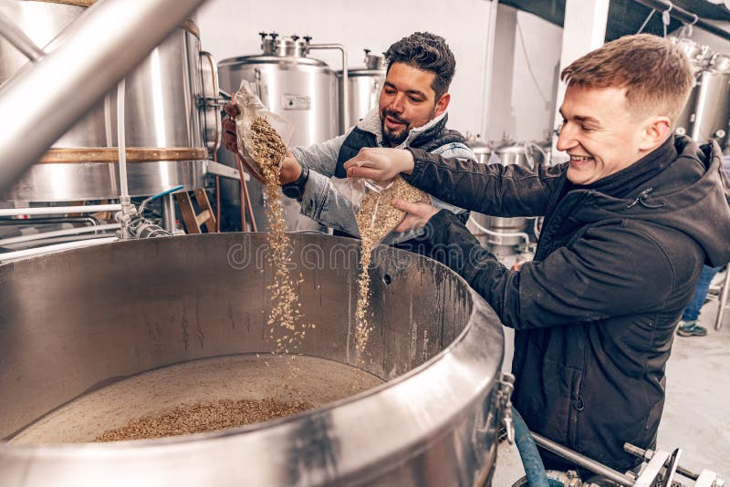 Brewmasters Pours Malted Grain Stock Photo - Image of microbrewing, fermenting: 269189884