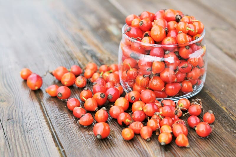 Briar stock photo. Image of wooden, container, table - 23118246