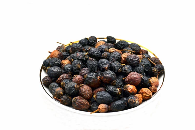 Briar stock photo. Image of food, medicine, cankerberry - 32414264