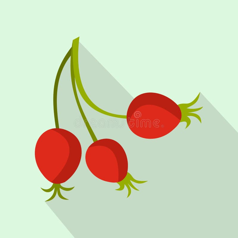 Briar Fruits Icon, Simple Style Stock Vector - Illustration of ...