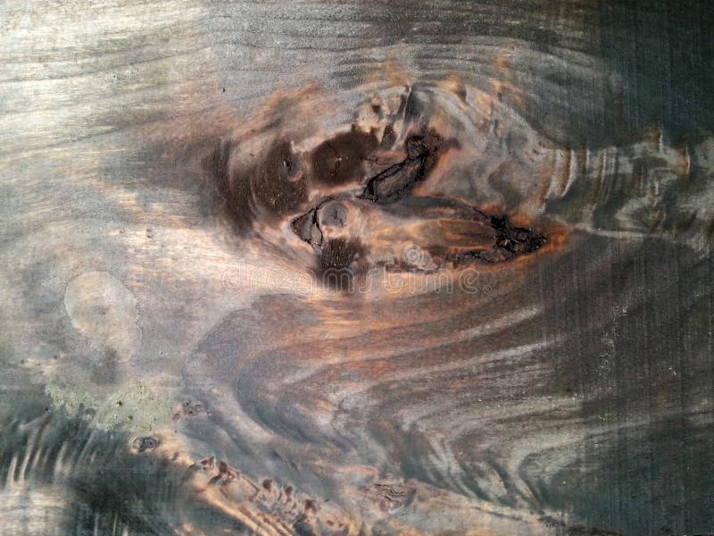 Briar-root stock image. Image of briar, natural, background - 79037309