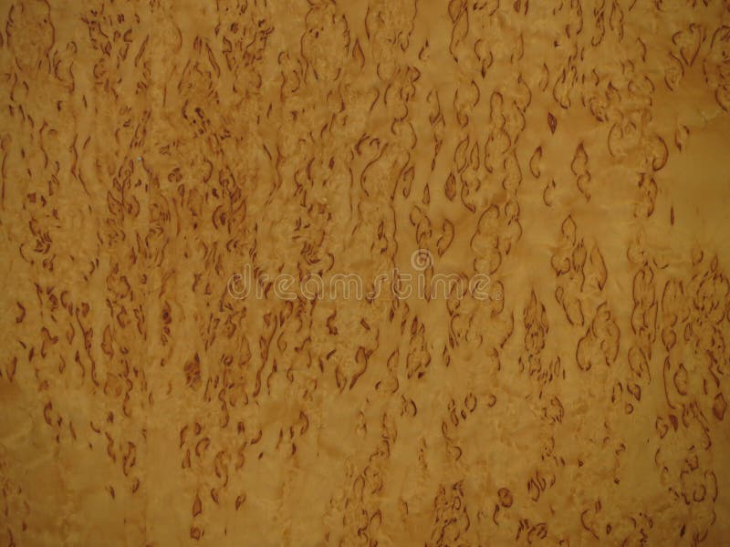 Briar-root wood texture stock image. Image of design - 30333557